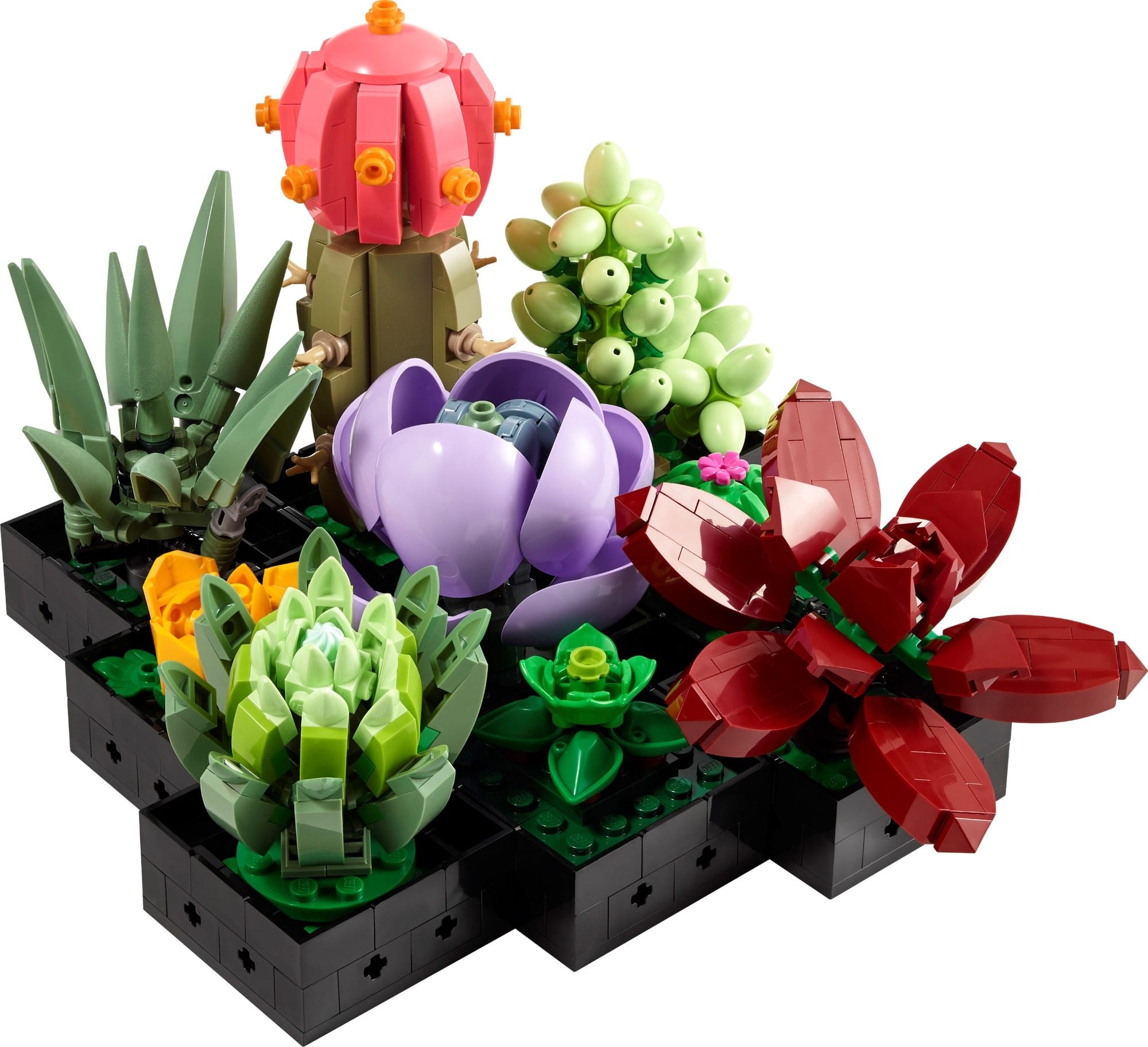 LEGO 10311 Орхидеи и 10309 Суккуленты: пополнение ботанической ...